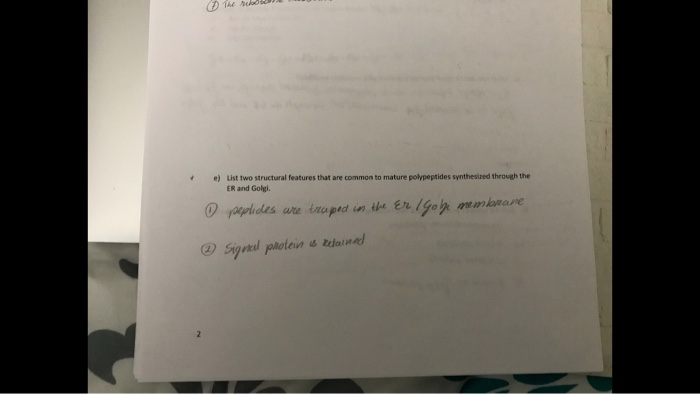 Solved This is a BioChem question, not sure if my answer is | Chegg.com