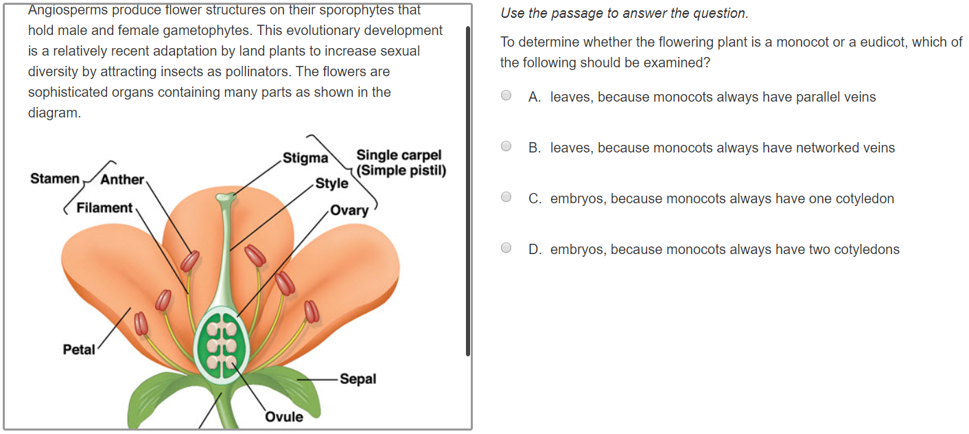 Solved Use the passage to answer the question. Angiosperms | Chegg.com