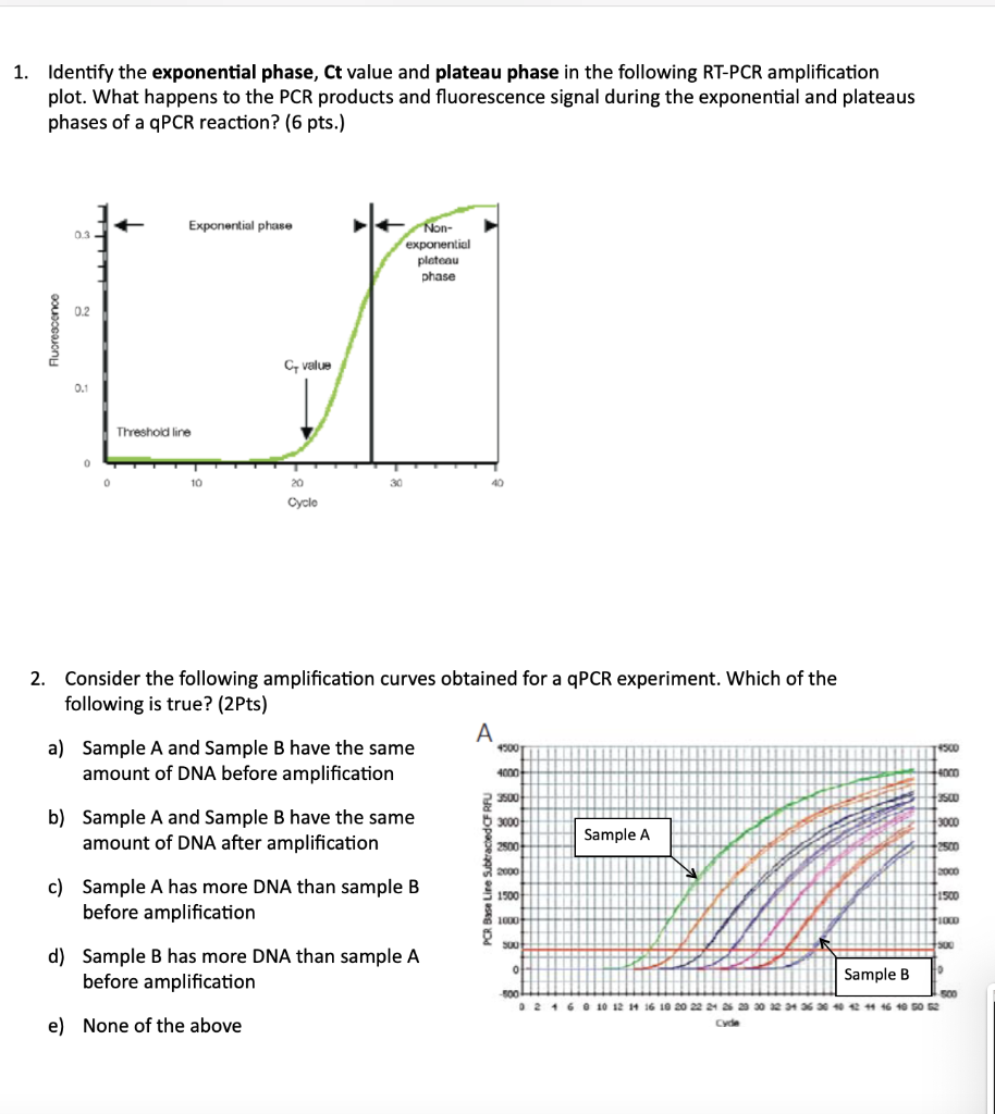 1. Identify the exponential phase, Ct value and | Chegg.com