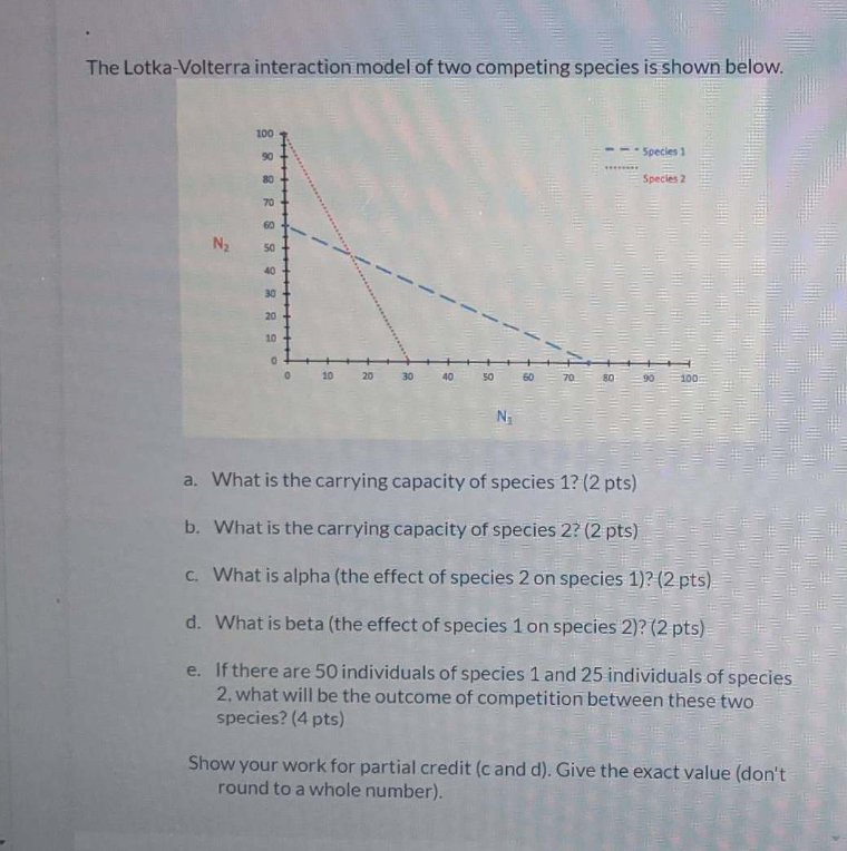 Solved The Lotka-Volterra interaction model of two competing | Chegg.com