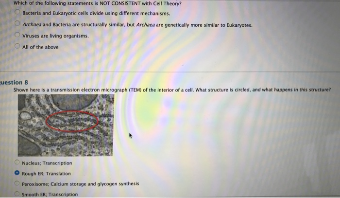 Solved Which of the following statements is NOT CONSISTENT | Chegg.com