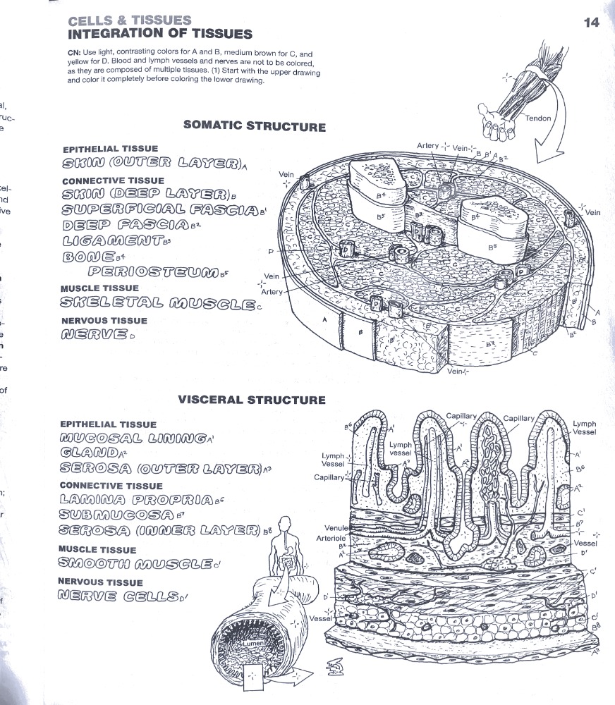 Solved No texts answers or text explanations required. | Chegg.com