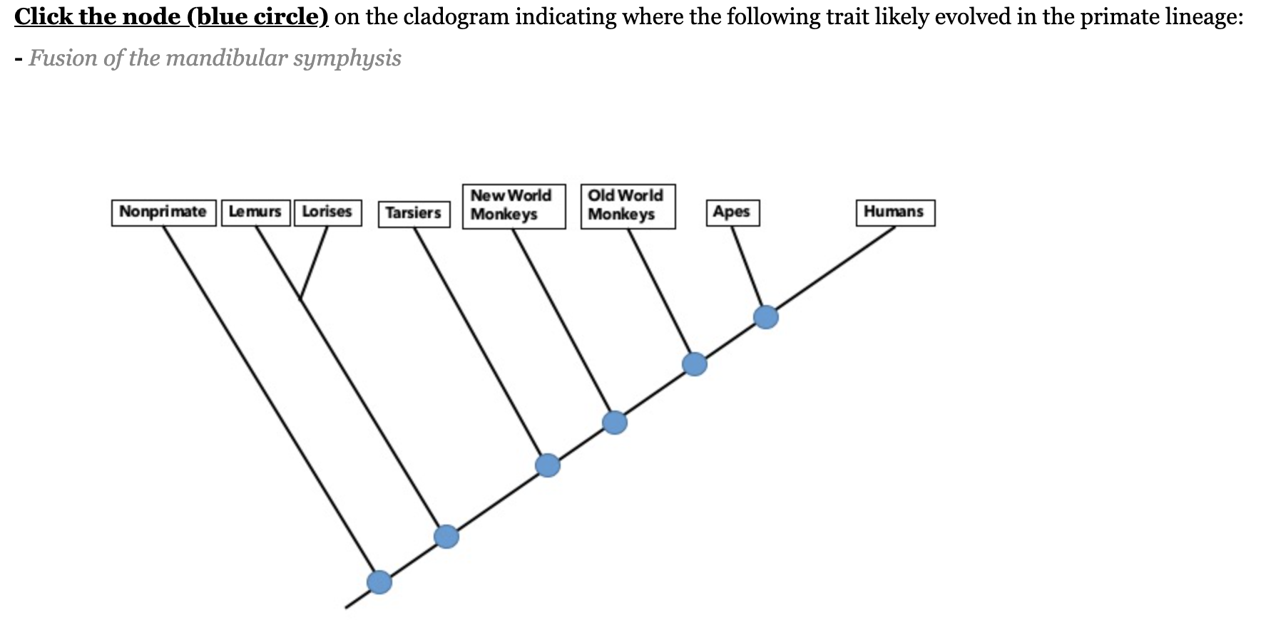 Solved Click the node (blue circle) on the cladogram | Chegg.com