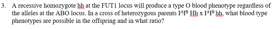 Solved A recessive homozygote hh at the FUT1 locus will | Chegg.com