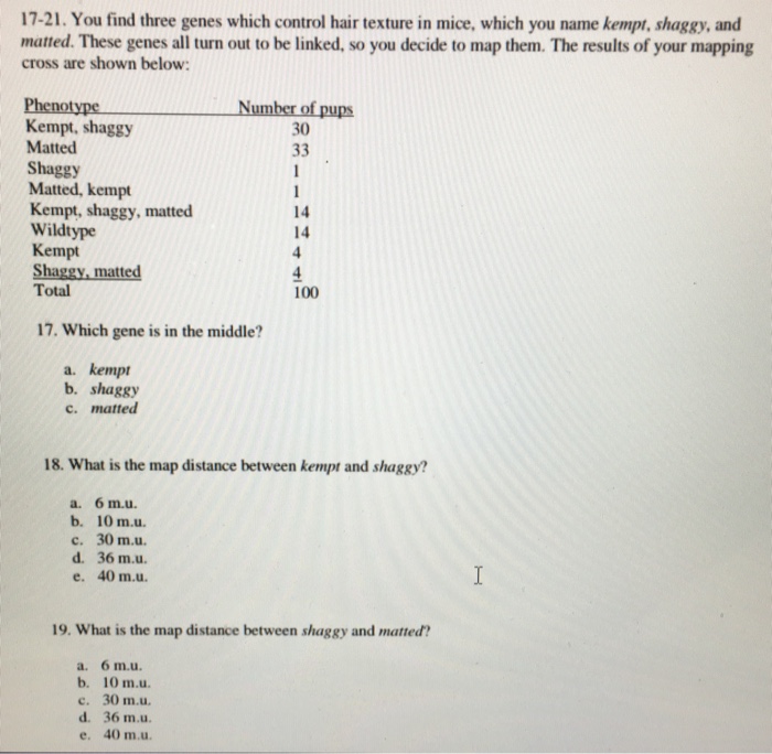 Solved You find three genes which control hair texture in | Chegg.com