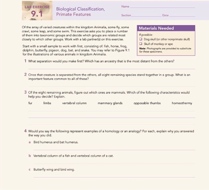 Solved LAB EXERCISE Biological Classification Name Primate | Chegg.com