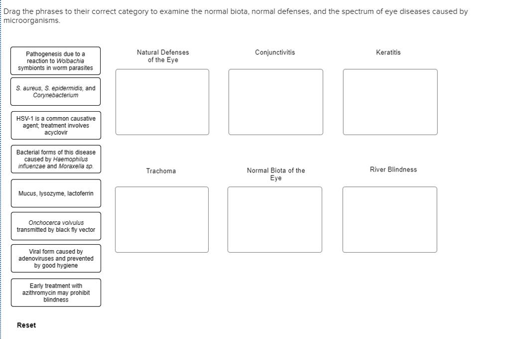 Solved Drag the phrases to their correct category to examine | Chegg.com