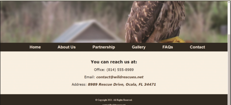 Solved 1. In your rescue folder and create a new subfolder | Chegg.com