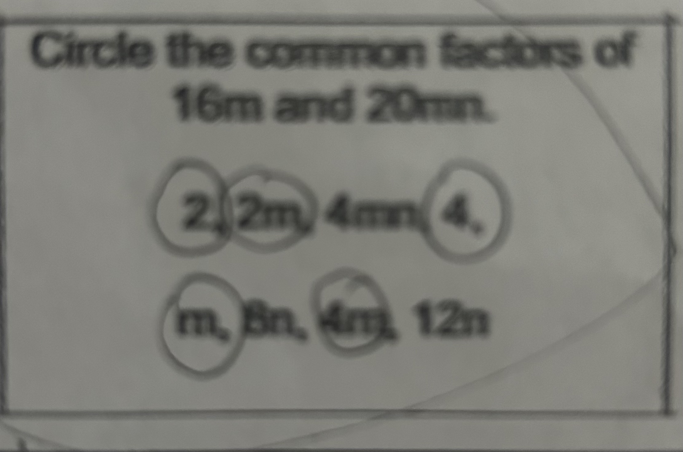 Solved Circle the common factors of16m ﻿and | Chegg.com