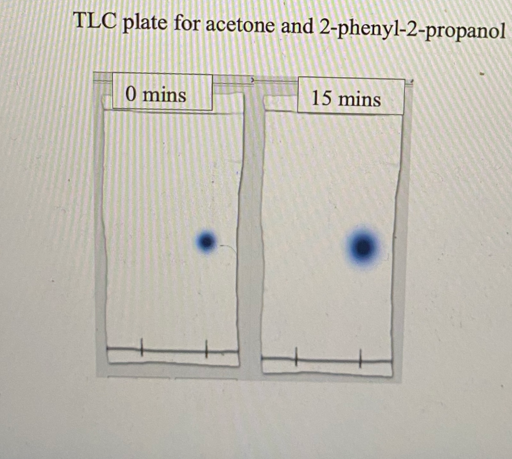 (12 pts.) TLC Observations: Sketch (or screen | Chegg.com