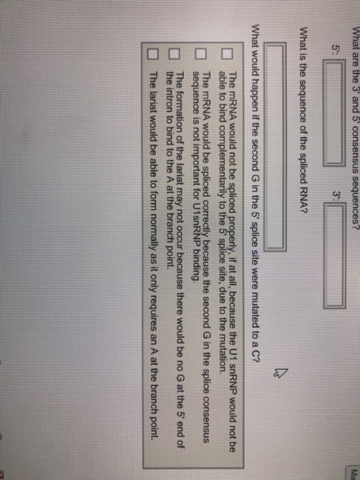 What are the 3 and 5 consensus sequences? 5t: 3 What | Chegg.com