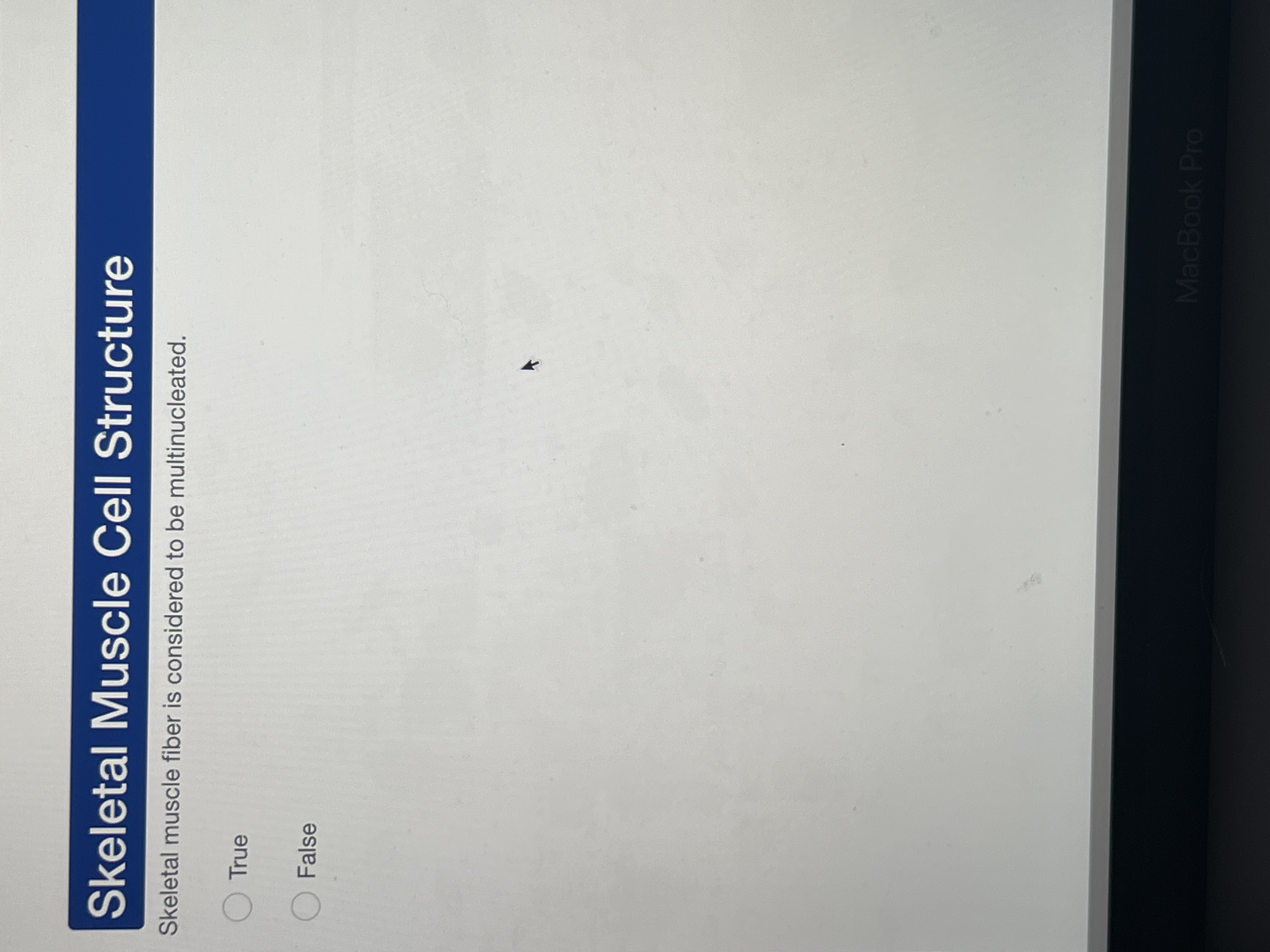 Solved Skeletal Muscle Cell StructureSkeletal muscle fiber | Chegg.com