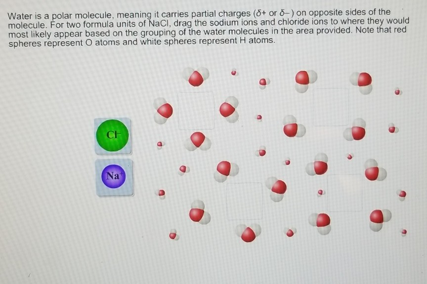 Solved water is a polar molecule, meaning it carries partial | Chegg.com