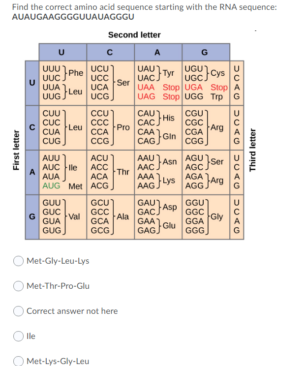 Solved Find the correct amino acid sequence starting with | Chegg.com