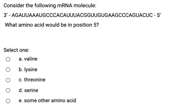 Solved Consider the following mRNA molecule: 3' - | Chegg.com