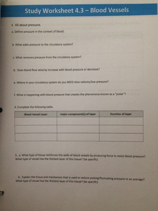 Solved Study Worksheet 4.3-Blood Vessels 3. All about | Chegg.com
