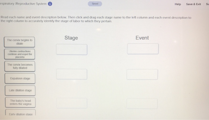 Solved espiratory /Reproductive System Saved Help Save & | Chegg.com