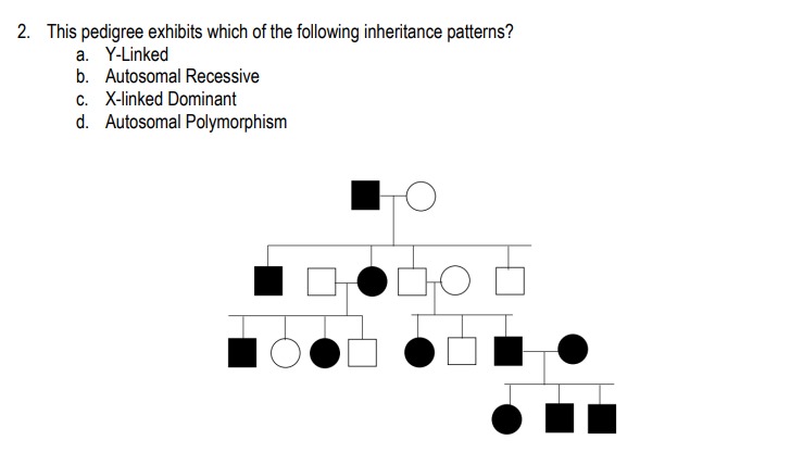 Solved 2. This pedigree exhibits which of the following | Chegg.com