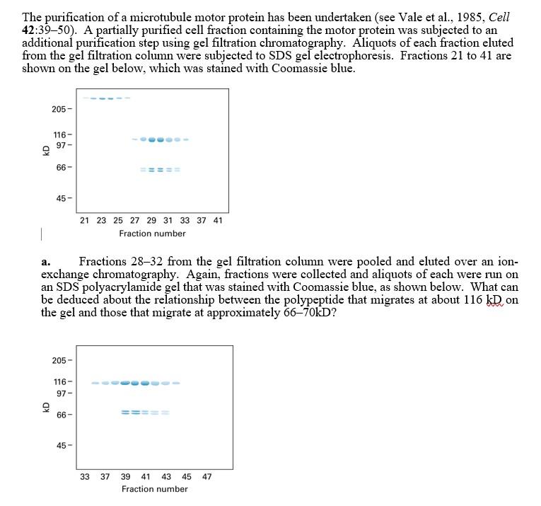 Solved The purification of a microtubule motor protein has | Chegg.com