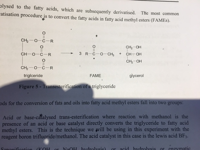 Solved I'm unsure of the mechanism in which BF3 works to | Chegg.com