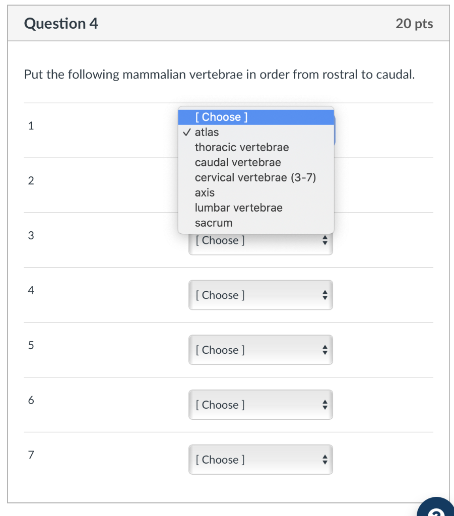 Solved Put the following mammalian vertebrae in order from | Chegg.com