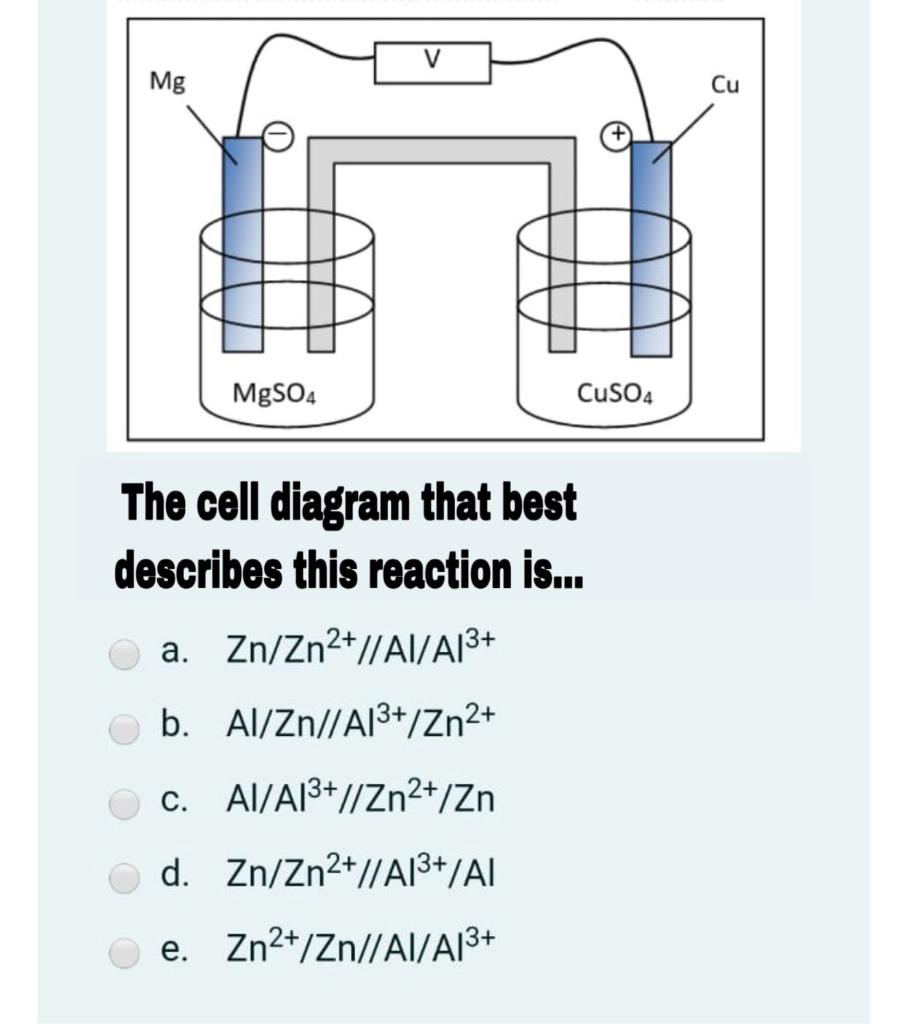 Solved Mg Cu MgSO4 CuSO4 The cell diagram that best | Chegg.com