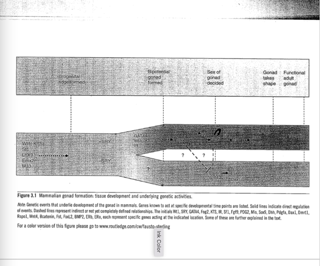 Solved 1 We Usually Discuss Sex As A Dichotomous Variable