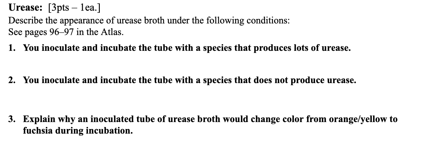 Solved Urease: [3pts – lea.] Describe the appearance of | Chegg.com
