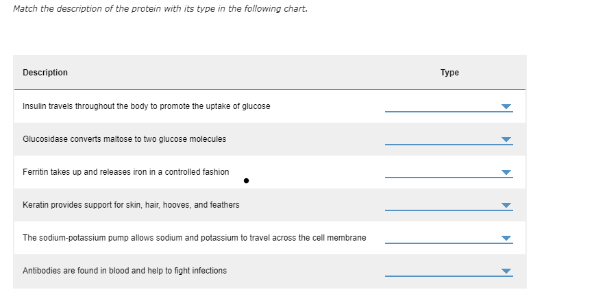 Solved Matching options are | Chegg.com