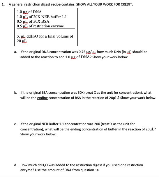 Solved 1.0μg of DNA 1.0 HL of 20X NEB buffer 1.1 0.5μL of | Chegg.com