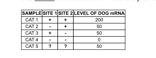 Solved The DOG gene is expressed in cats and gives them | Chegg.com