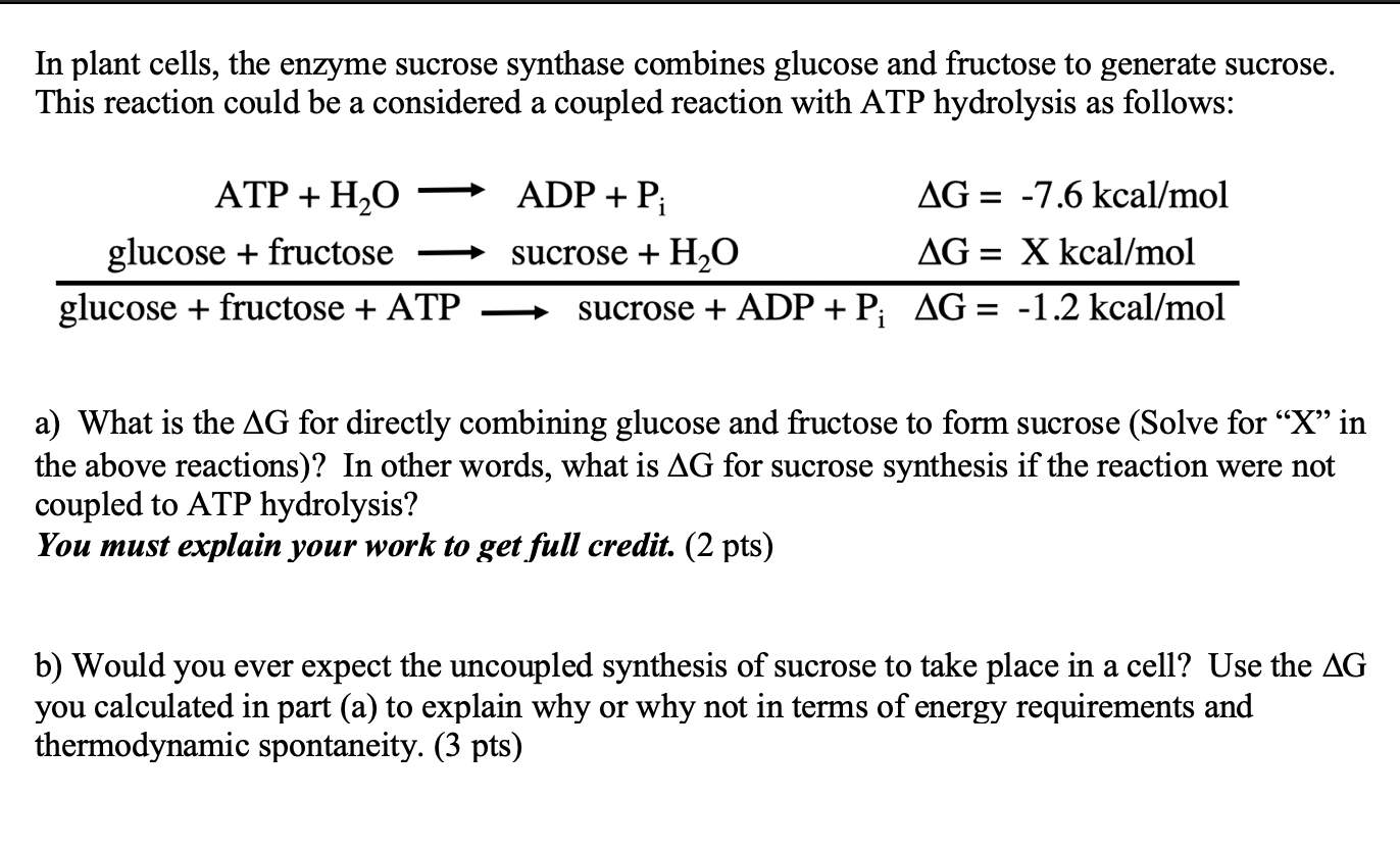 Solved In plant cells, the enzyme sucrose synthase combines | Chegg.com