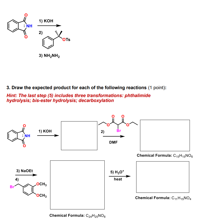 Solved 1) KOH : NH 2) OTS 3) NH2NH2 3. Draw the expected | Chegg.com