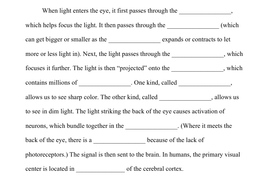Solved When light enters the eye, it first passes through | Chegg.com