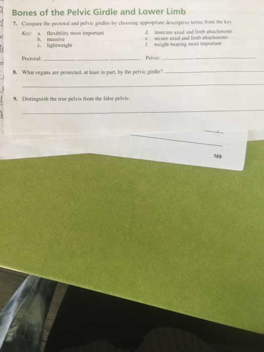 Solved Bones of the Pelvic Girdle and Lower Limb 7. Compare | Chegg.com