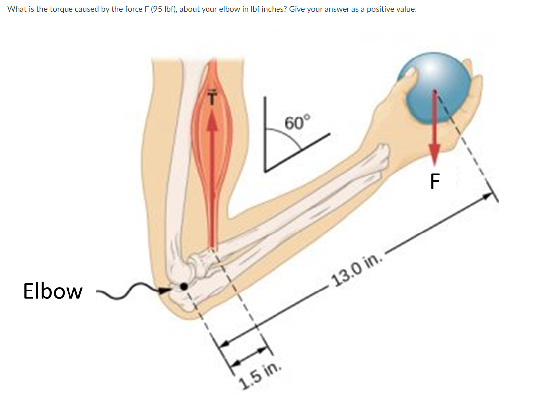 Solved What is the torque caused by the force F(95lbf), | Chegg.com