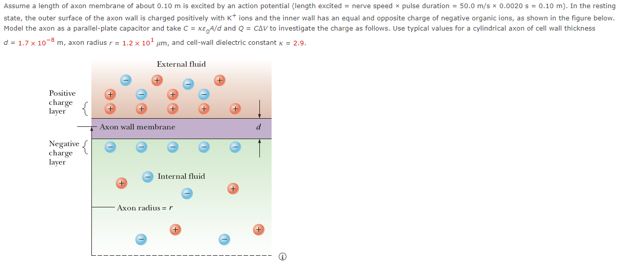 Solved (b) How much positive charge must flow through the | Chegg.com