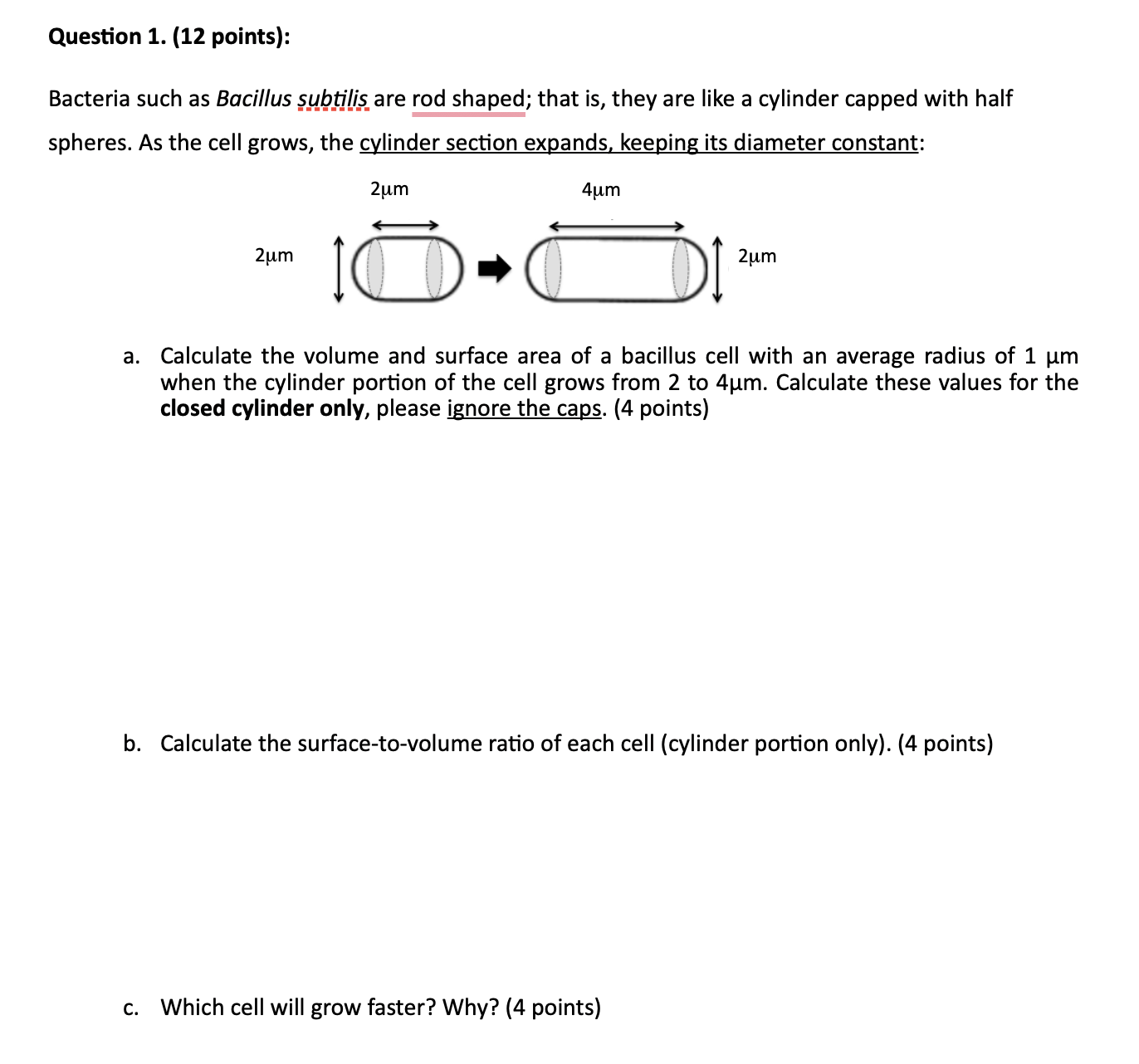 Solved Bacteria such as Bacillus subtilis are rod shaped; | Chegg.com