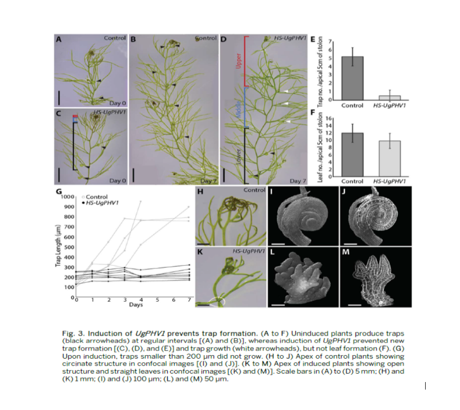Solved 1a. In this research the authors started with a dome | Chegg.com