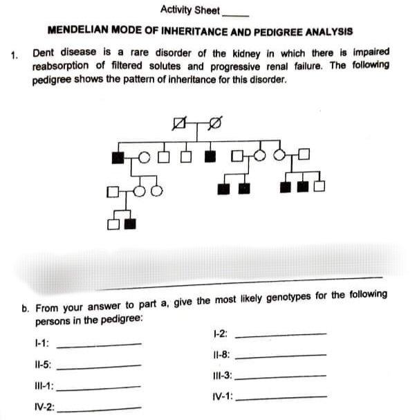 Solved Activity Sheet MENDELIAN MODE OF INHERITANCE AND | Chegg.com