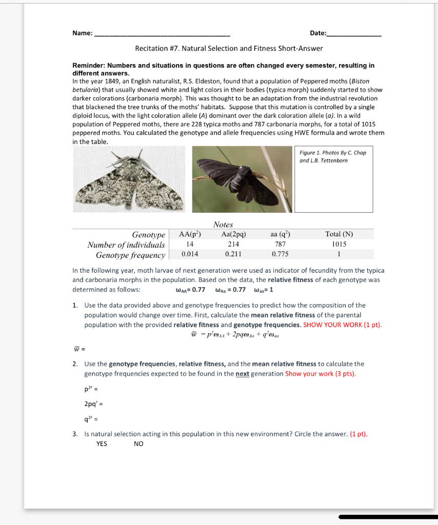 Solved Can someone help me with this worksheet? I got stuck | Chegg.com