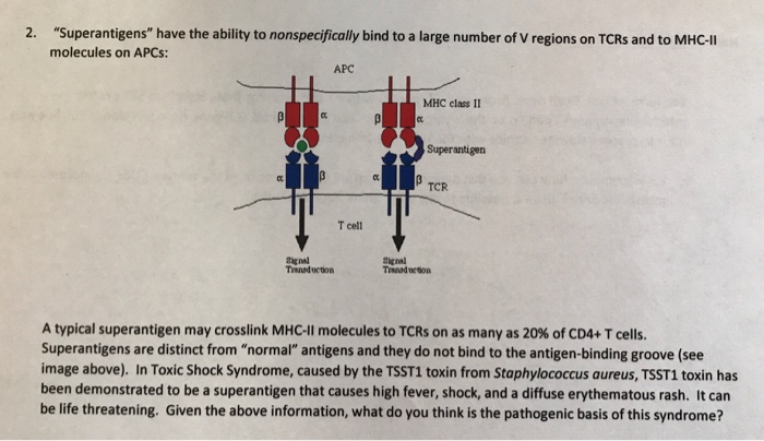 Solved "Superantigens" have the ability to nonspecifically | Chegg.com