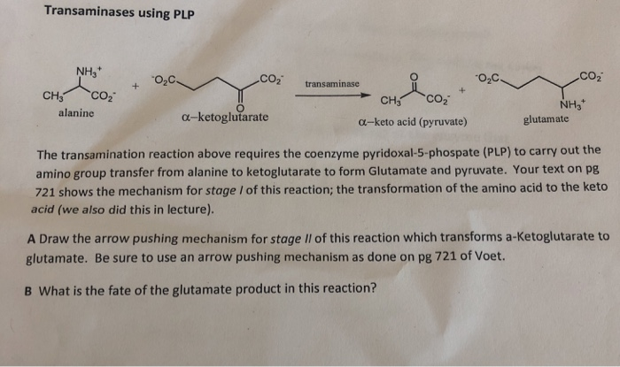 Solved Transaminases using PLP NH, CO2 O2C CO2 transaminase | Chegg.com