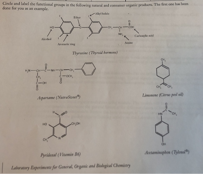 Solved Cirele and label the functional groups in the | Chegg.com