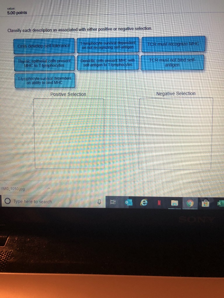 Solved Classify each description as associated with either | Chegg.com