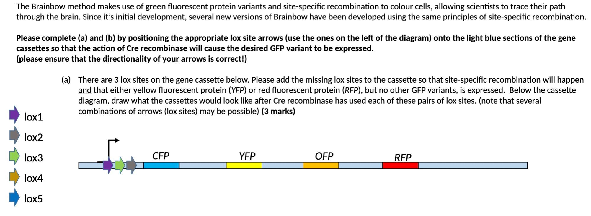 The Brainbow method makes use of green fluorescent | Chegg.com