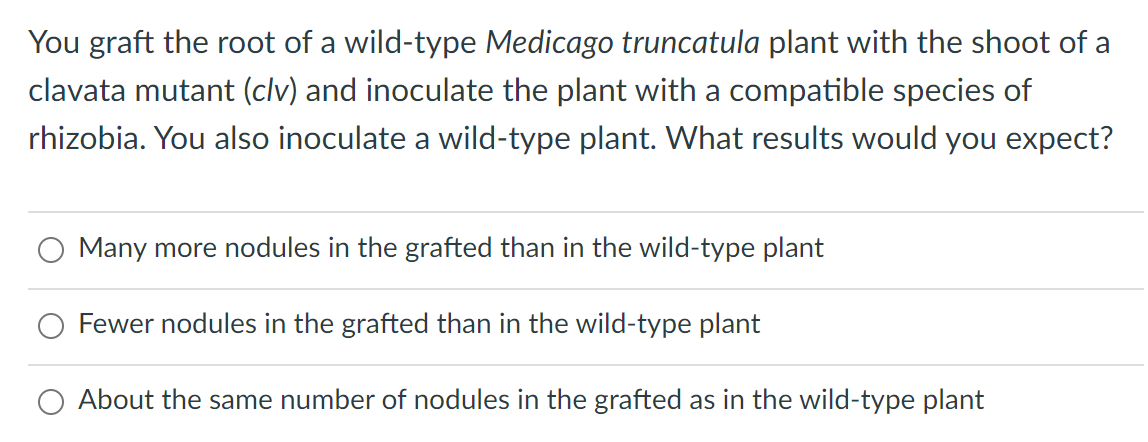 Solved You graft the root of a wild-type Medicago truncatula | Chegg.com