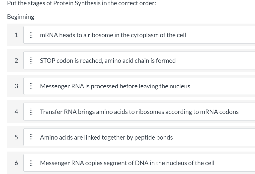 Solved Put the stages of Protein Synthesis in the correct | Chegg.com