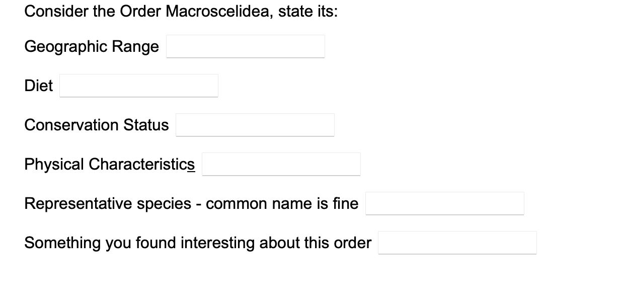 Solved Consider the Order Macroscelidea, state its: | Chegg.com