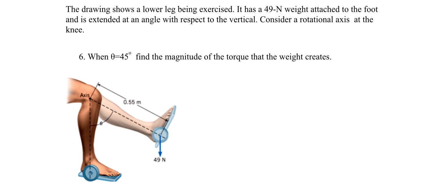 Solved The drawing shows a lower leg being exercised. It has | Chegg.com
